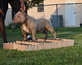 Dog Training Position Box, Shaping Box, Obedience Box, Dog Training ...