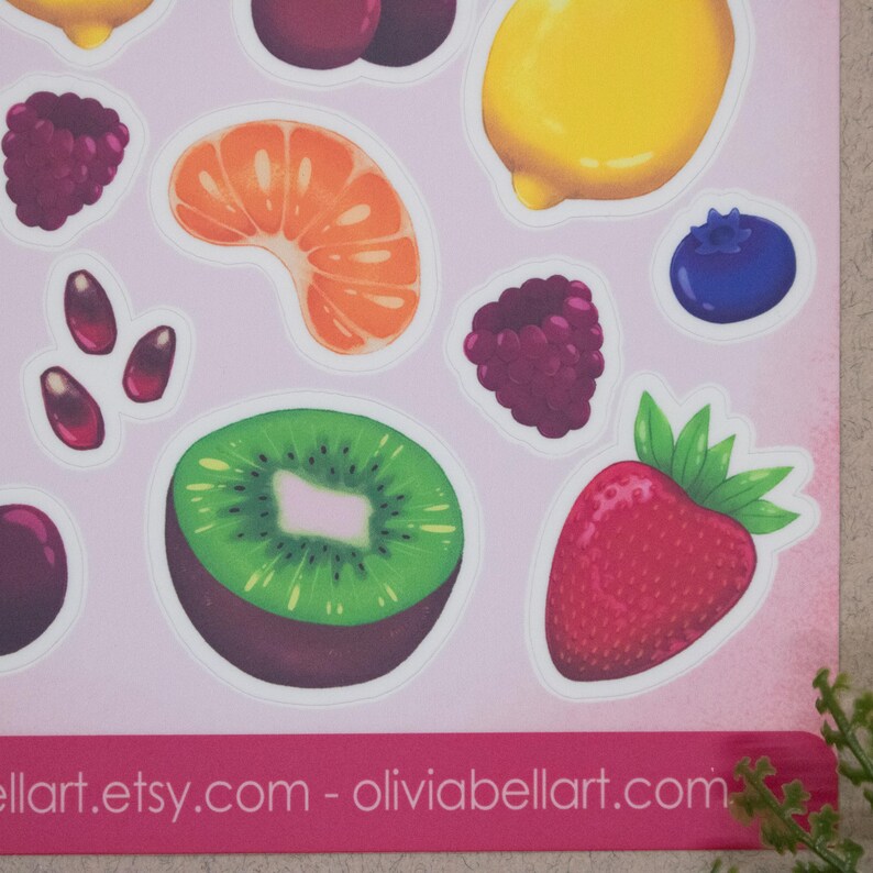Fruit Vinyl Sticker Sheet | 17 Mini Stickers for Water Bottles, Laptops ...