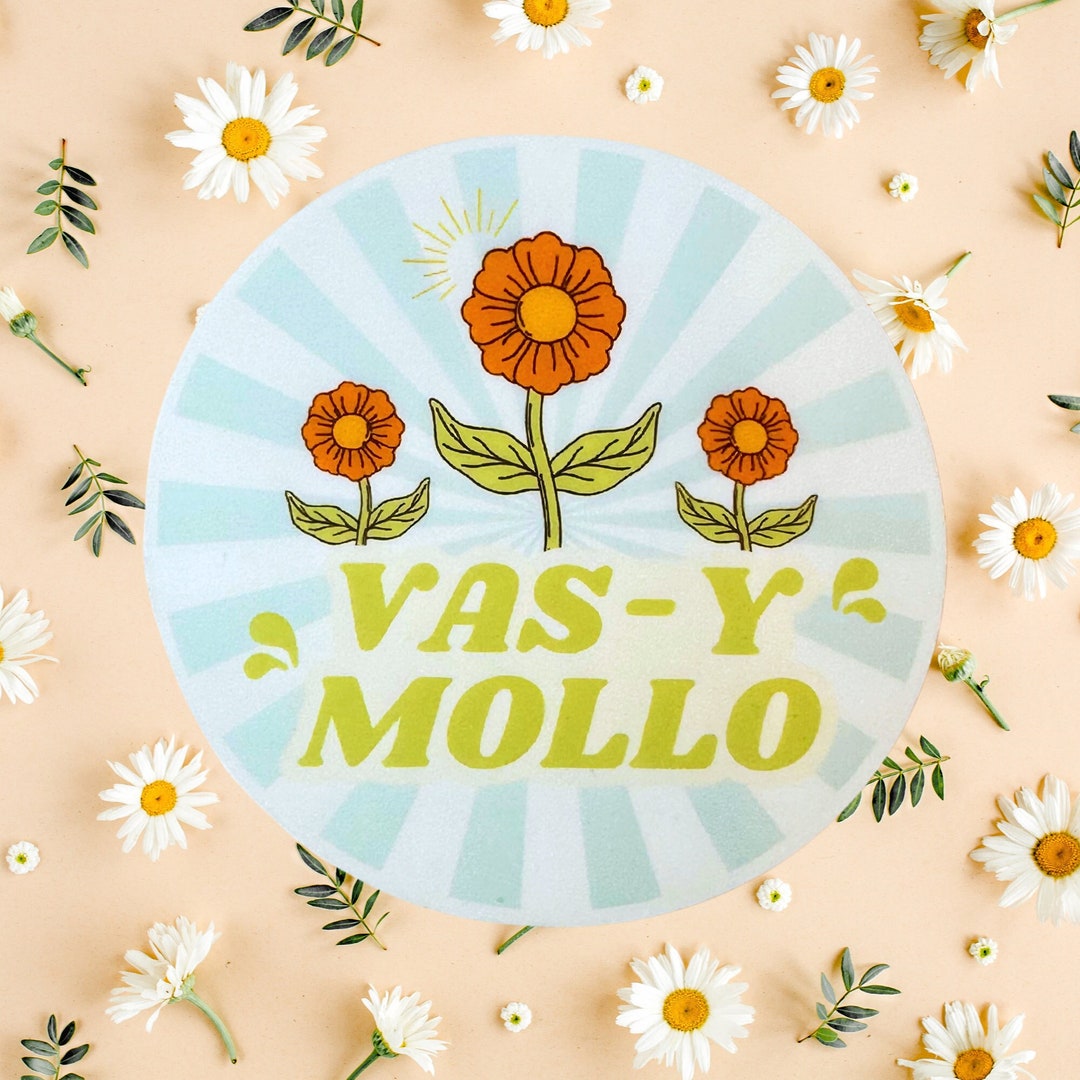 Vas-y Mollo - Take It Easy Retro Vinyl Sticker - Weather Resistant ...