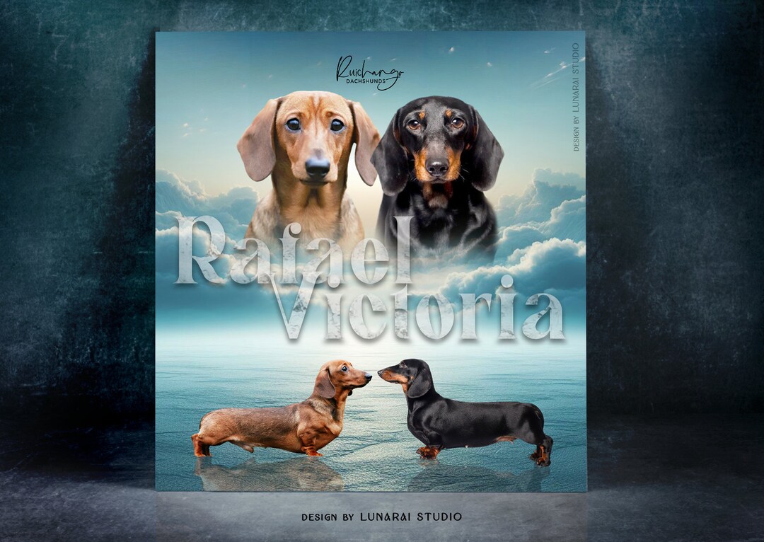 Custom POSTERS DESIGNS for STUDS /studs Advertising/ Litter ...