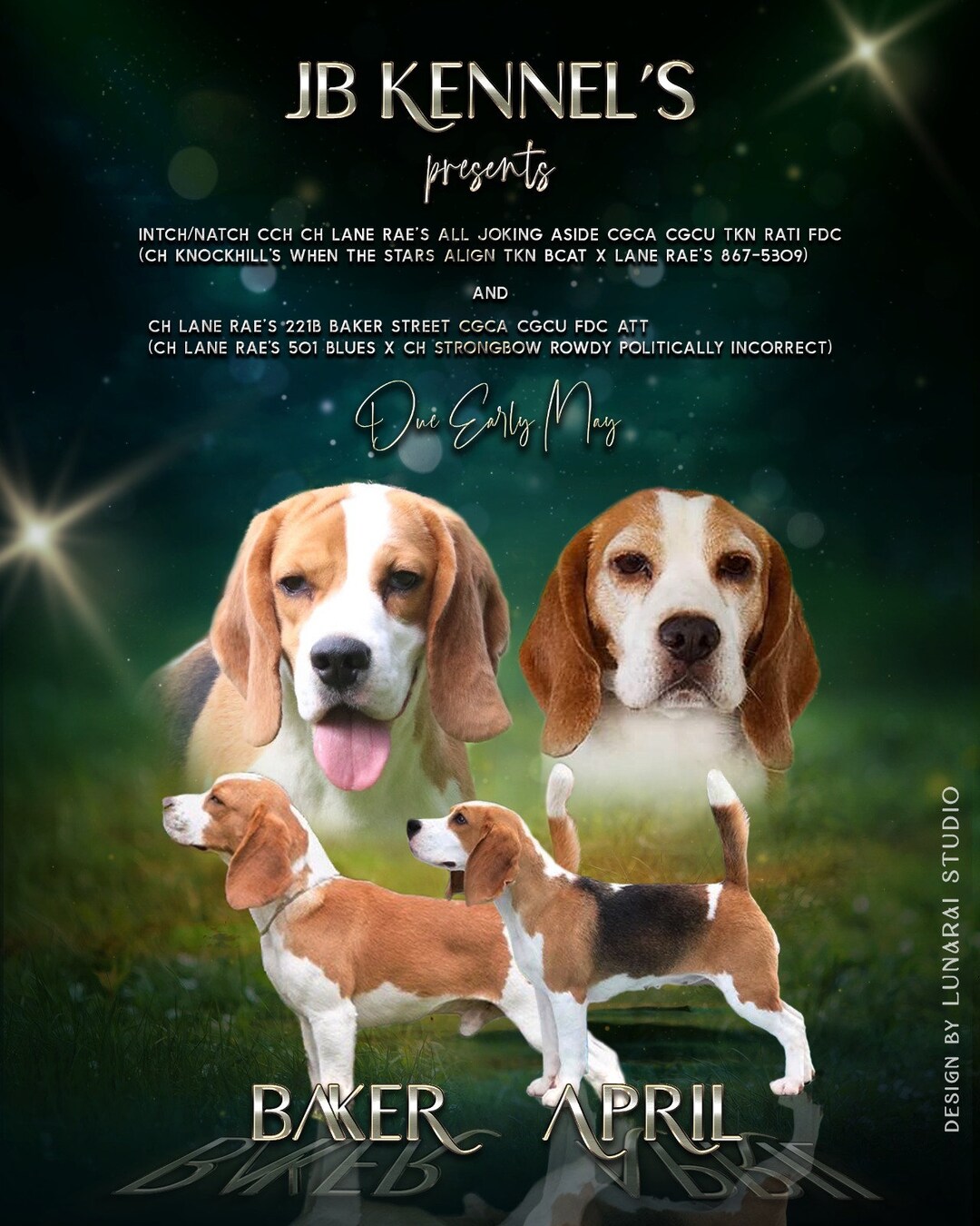 POSTERS for BREEDERS /studs Advertising/ Litter Announcements ...