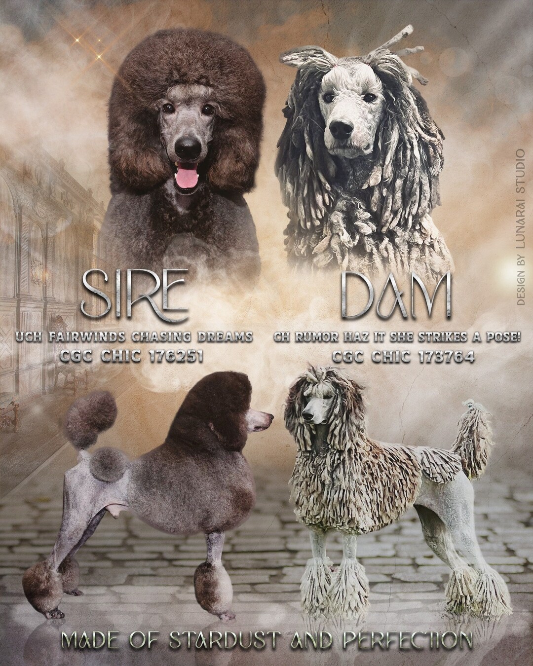 Personalised DESIGNED POSTERS for BREEDERS /studs Advertising/ Litter ...