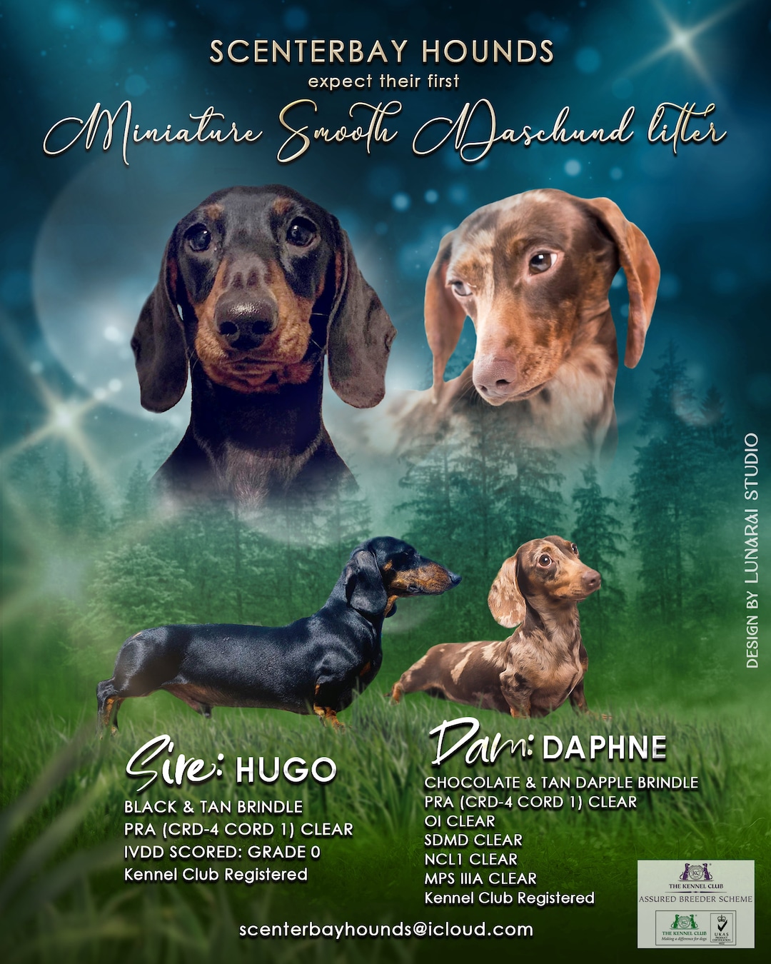 Personalised GRAPHIC DESIGNS for BREEDERS /studs Advertising/ Litter ...
