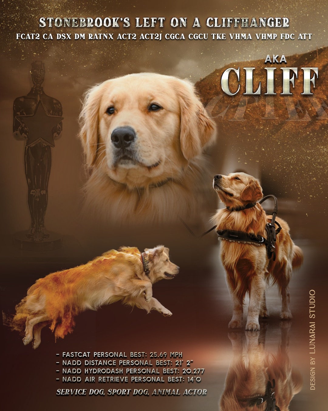 Personalised ADVERTS for BREEDERS /studs Advertising/ Litter ...