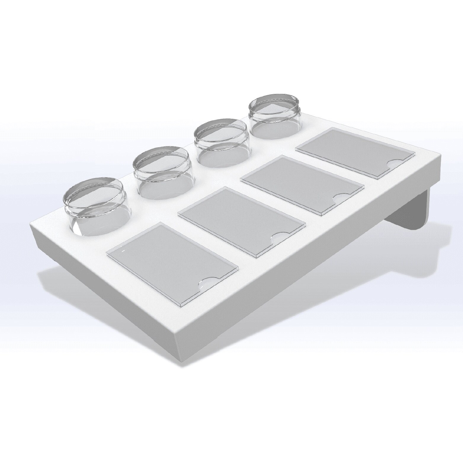 Concentrate Multi-product Display - Etsy