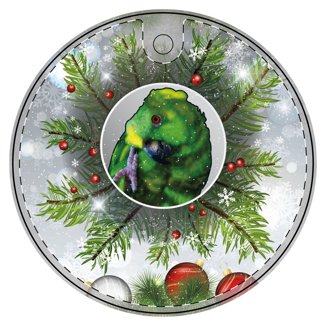 Illustrated Yellow Nape Amazon Parrot Christmas Ceramic Decoration ...