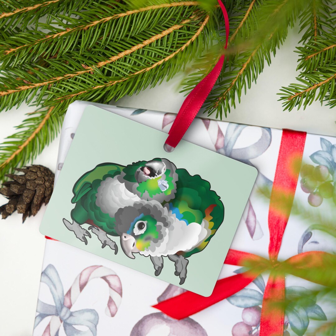 Illustrated Cuddling Green Cheek Conures Metal Ornament - Etsy