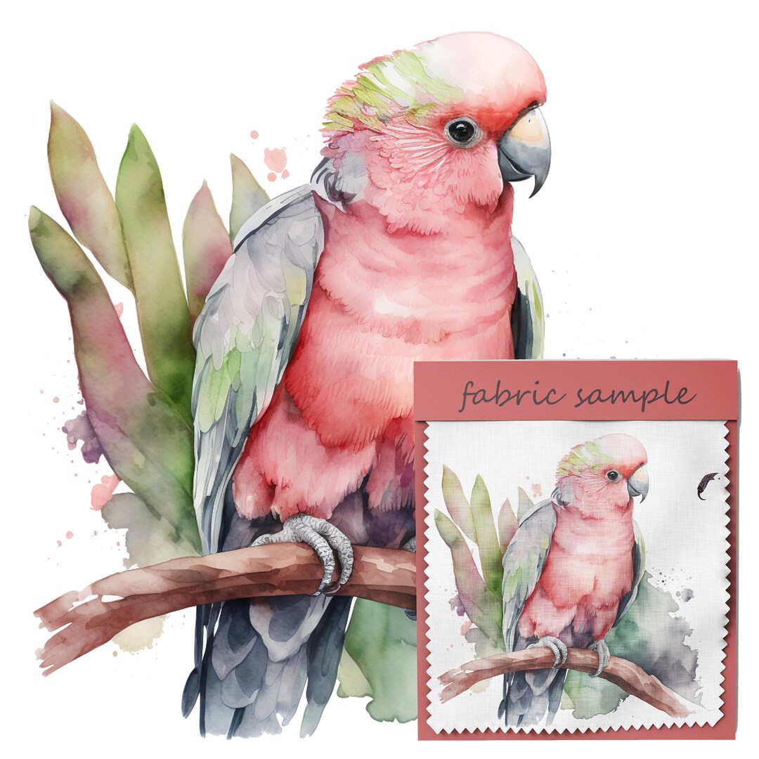 2 Files Galah Clip Art, Galah Pattern, GALAH Watercolour, Download ...