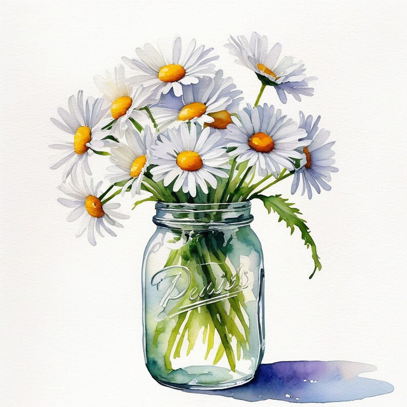 Watercolor Daisy Clipart | Daisy Flowers Clipart | Spring Clipart ...
