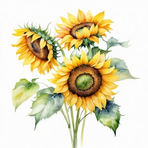 Sunflower Bouquet Clipart | Summer Flowers | Flower Clipart ...