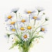 Watercolor Daisy Clipart | Daisy Flowers Clipart | Spring Clipart ...