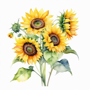 Sunflower Bouquet Clipart | Summer Flowers | Flower Clipart ...