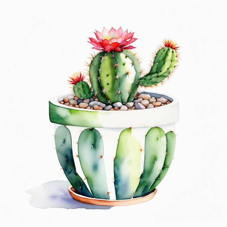 Cactus Clipart | Desert Cacti | Cacti Clip Art | Boho Clipart | Indoor ...