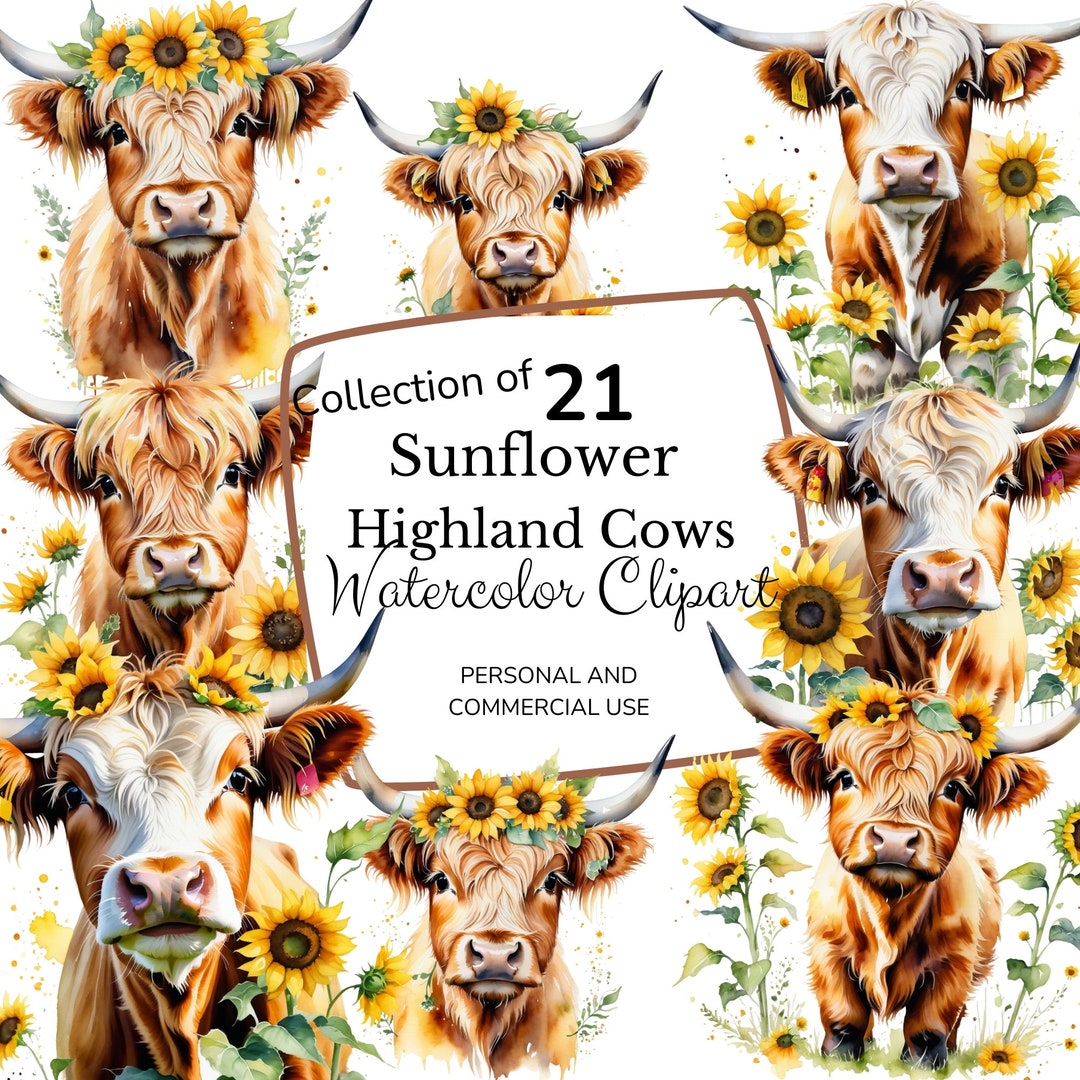 Watercolor Sunflower Highland Cows Collection Clipart | Sunflower Png ...