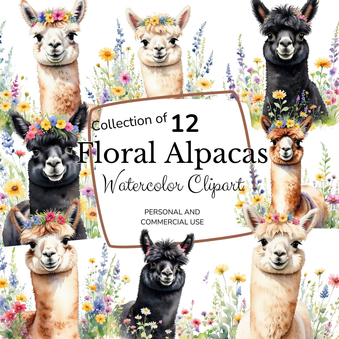 Alpaca Face Svg | Watercolor Floral | Boho Clipart | Floral Llama ...