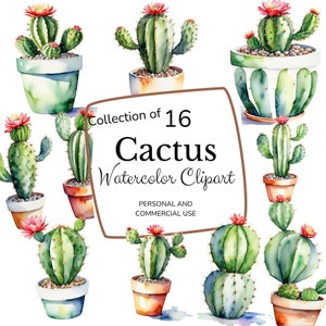 Cactus Clipart | Desert Cacti | Cacti Clip Art | Boho Clipart | Indoor ...