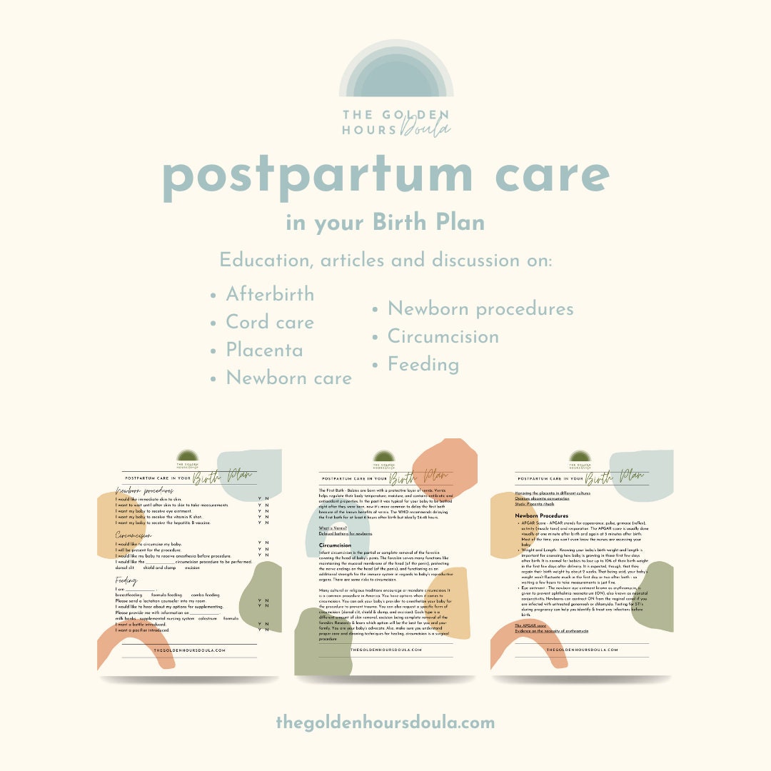 Postpartum Care in Your Birth Plan / Newborn Hospital Care / Newborn ...