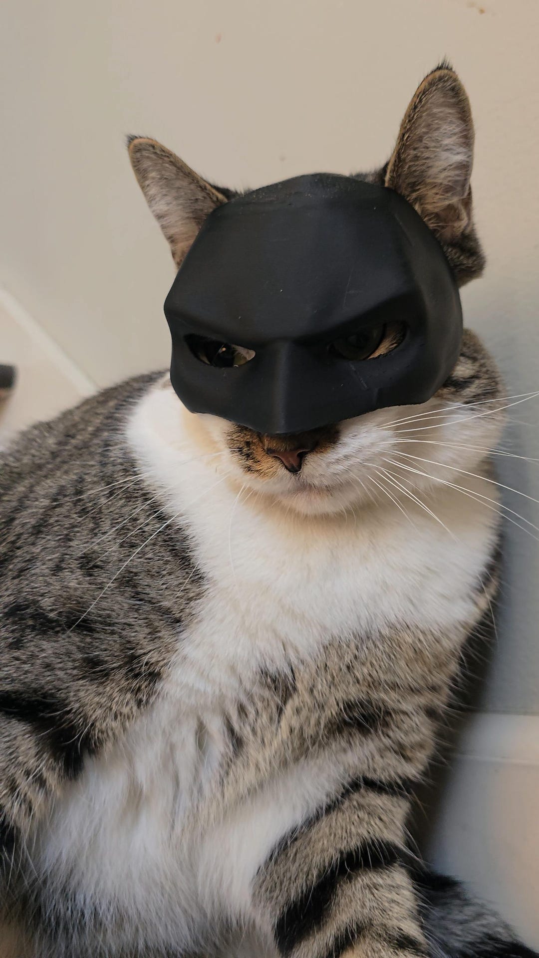 Cat Superhero 3d Printed Helmet/mask Custom Colors - Etsy