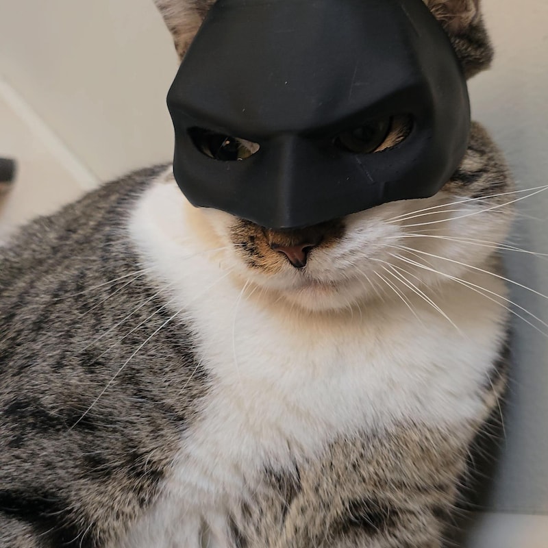 Cat Helmets 3d Print - Etsy