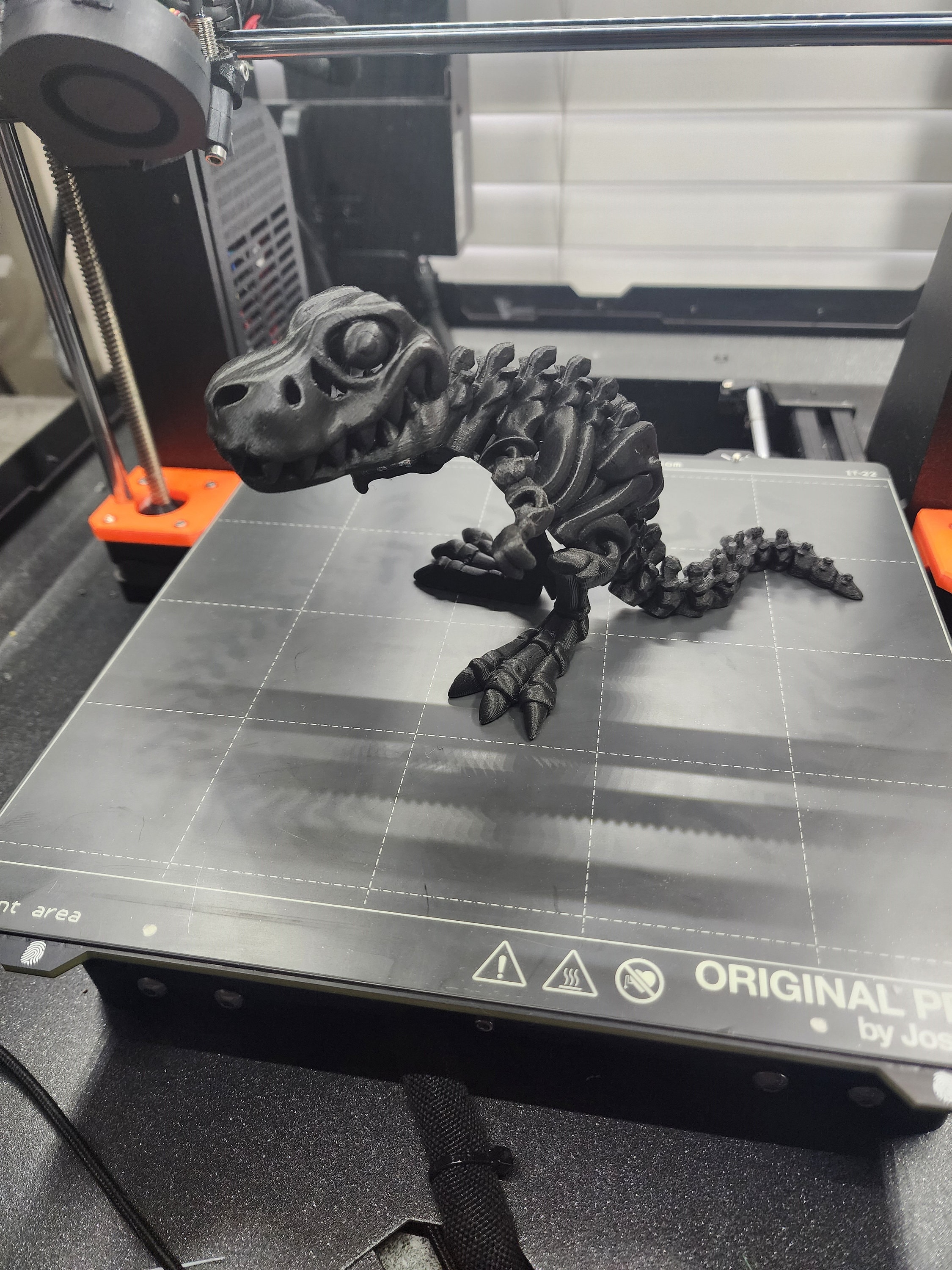 Flexi Factory 3d Printed Skeleton T-rex Custom Colors - Etsy