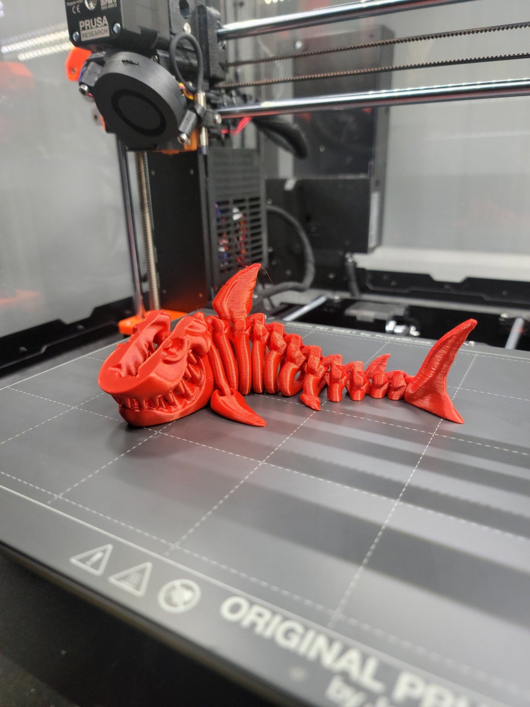 Flexi Factory 3d Printed Fidget Skeleton Shark Custom Colors - Etsy