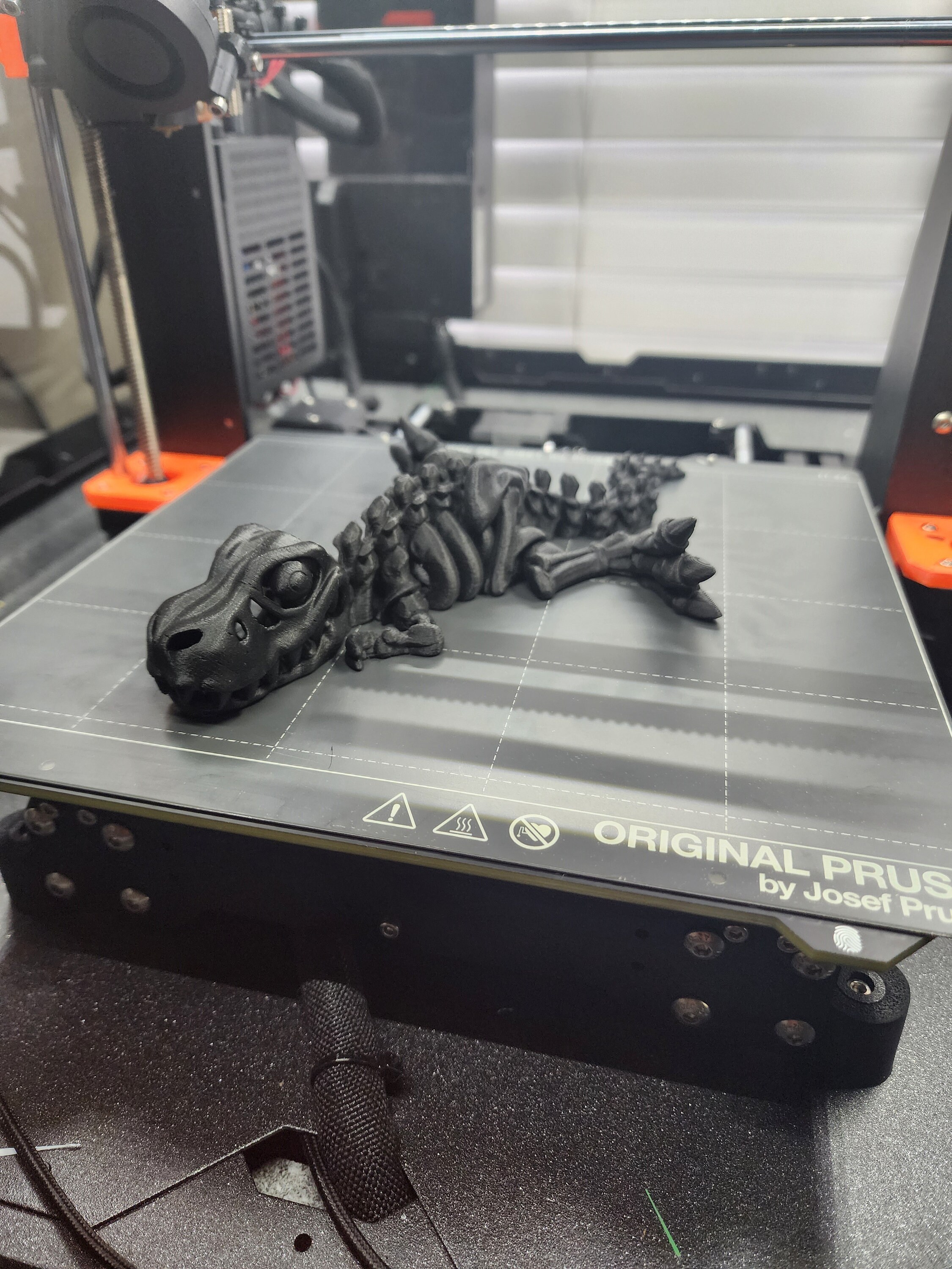 Flexi Factory 3d Printed Skeleton T-rex Custom Colors - Etsy