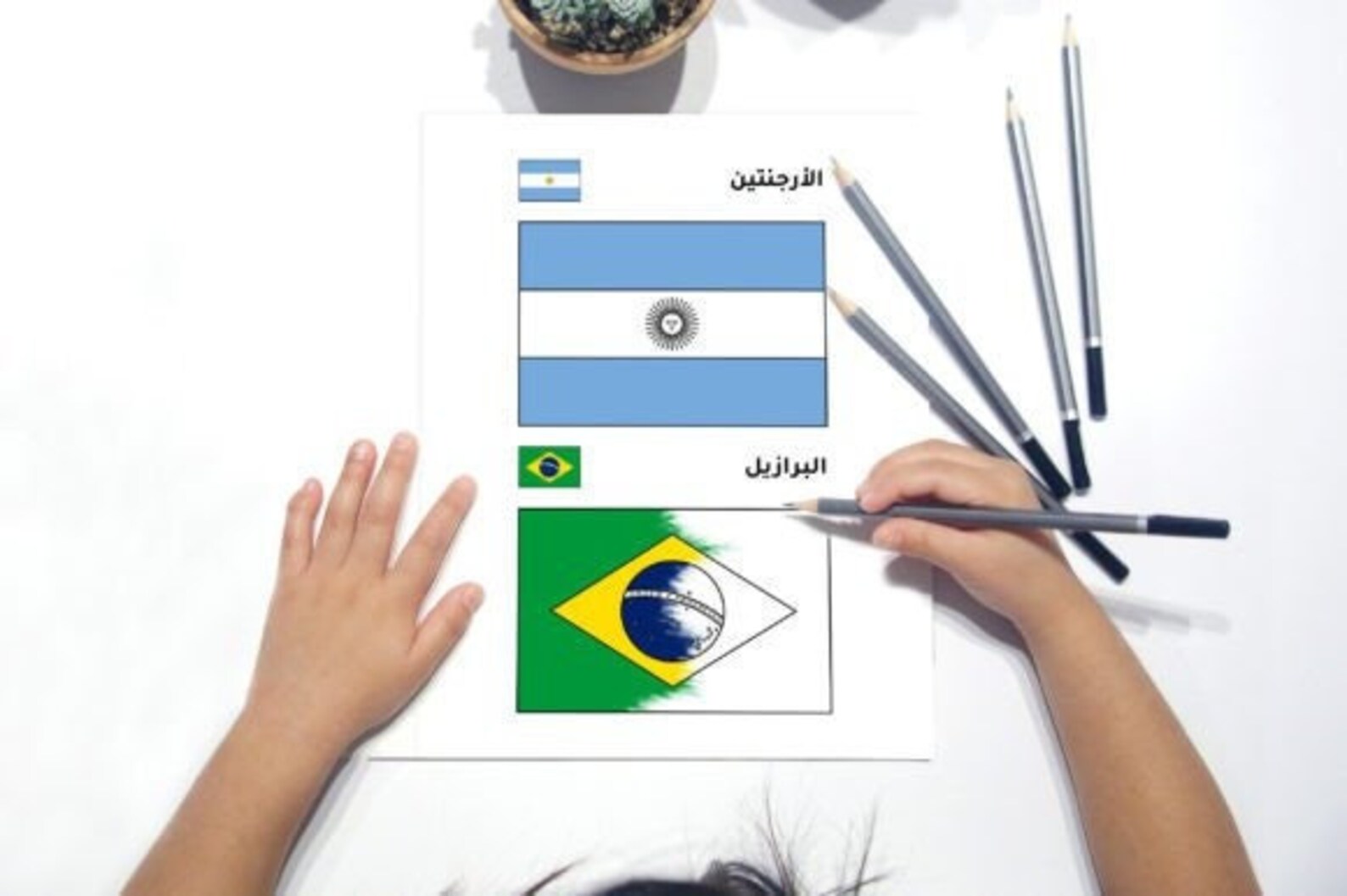 Country Flags Coloring Pages in Arabic Language - Learn and Color - Etsy