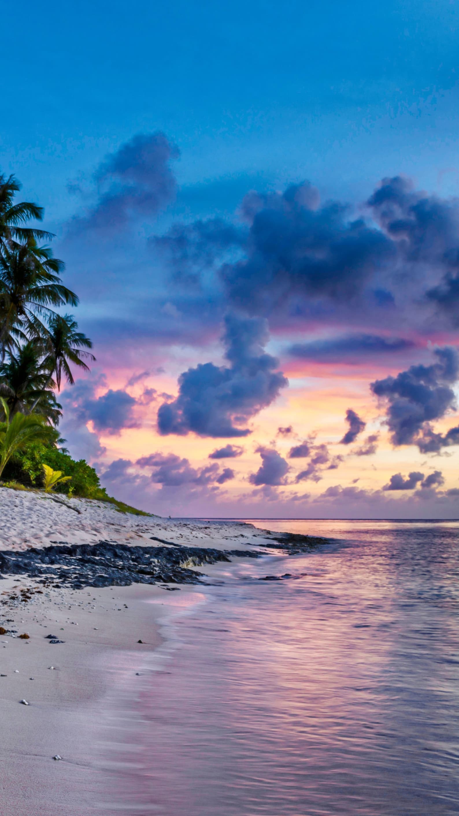 Beach Paradise Phone Background High Definition - Etsy