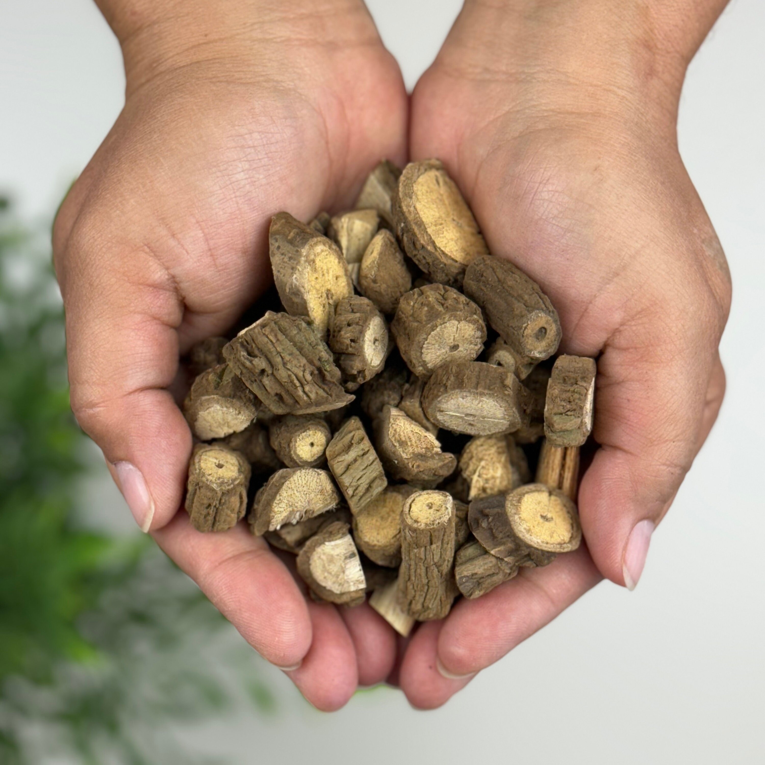 Palo Guaco (8 Oz / 226 Grams) Wildcrafted Authentic Mexican Herbs ...