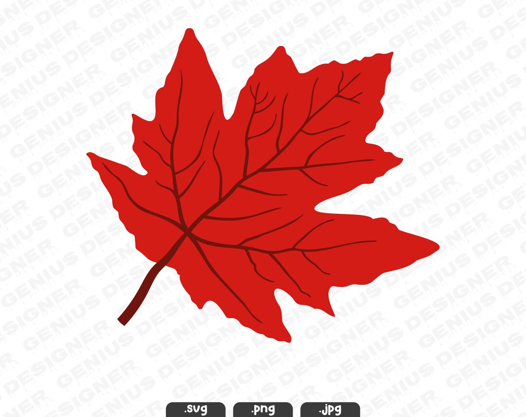 Maple Leaf SVG | Fall Autumn Leaf Svg | Fall Leaf PNG | Leaves Cut File ...