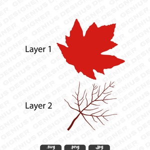 Maple Leaf SVG | Fall Autumn Leaf Svg | Fall Leaf PNG | Leaves Cut File ...