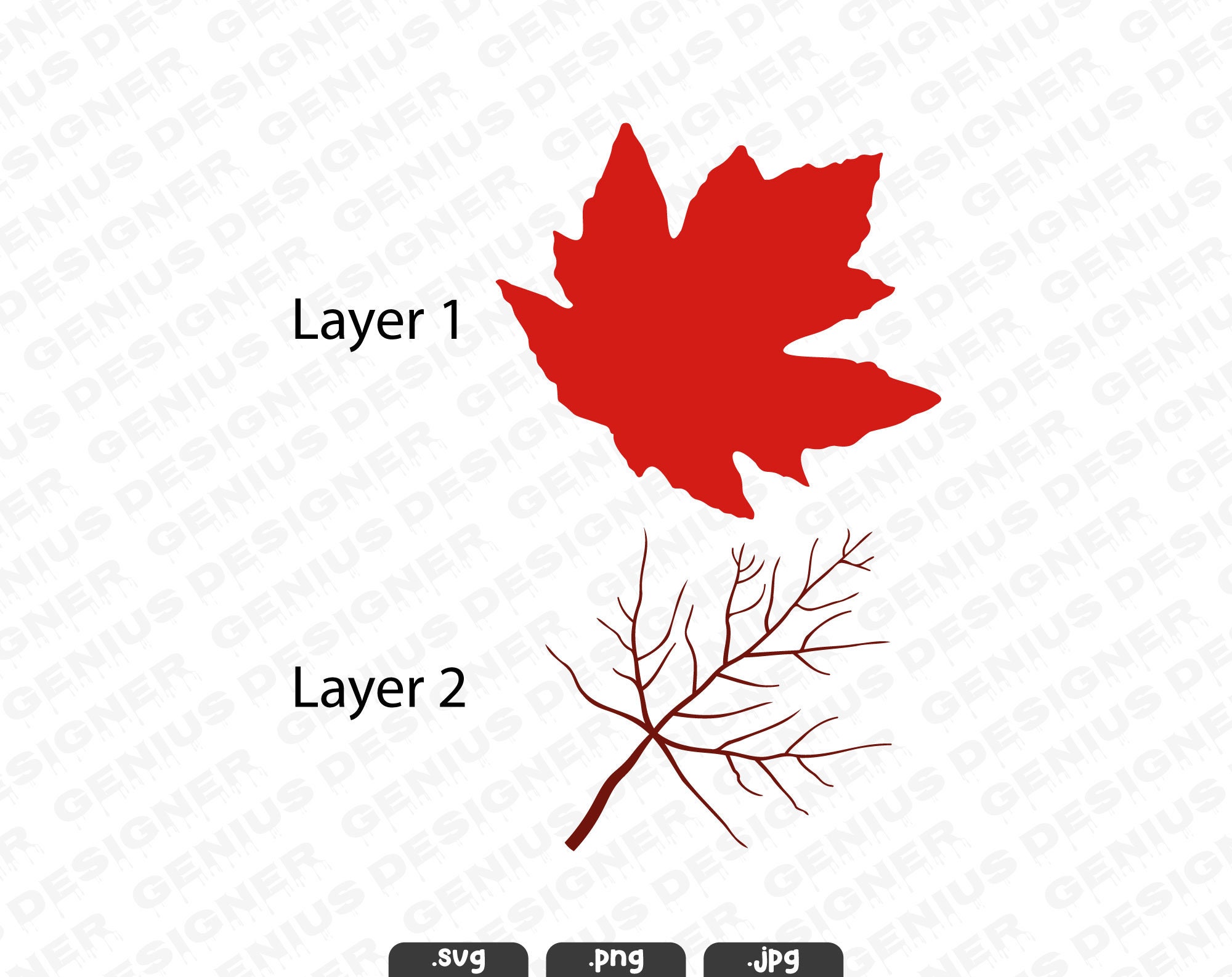 Maple Leaf SVG Fall Autumn Leaf Svg Fall Leaf PNG Leaves - Etsy