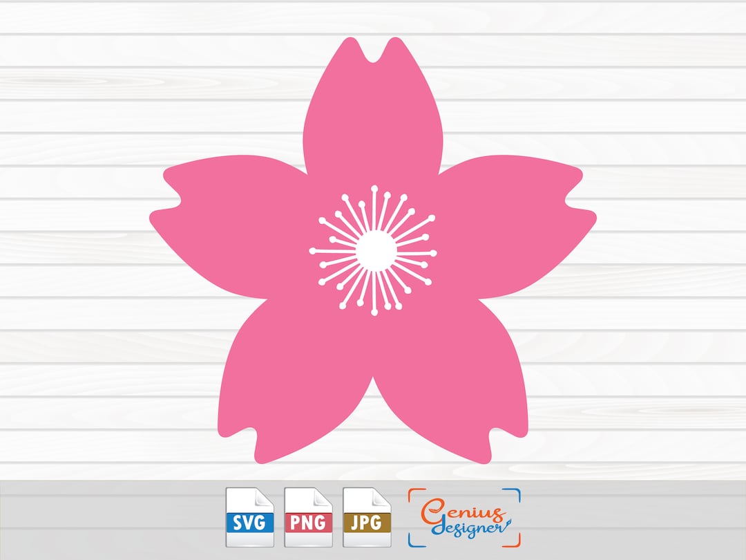 Cherry Blossom SVG PNG, Sakura SVG, Spring Flower Svg, Plant Digital ...