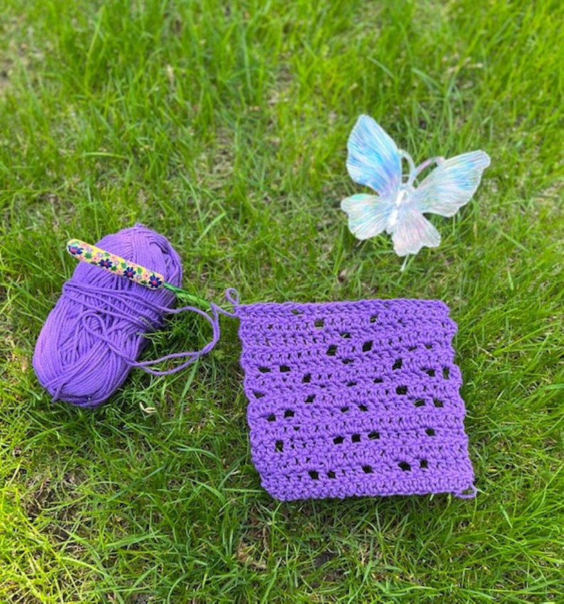 Butterfly Filet Crochet Pattern - Etsy