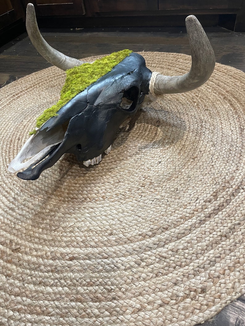 Moss Covered Cow Skull - Etsy