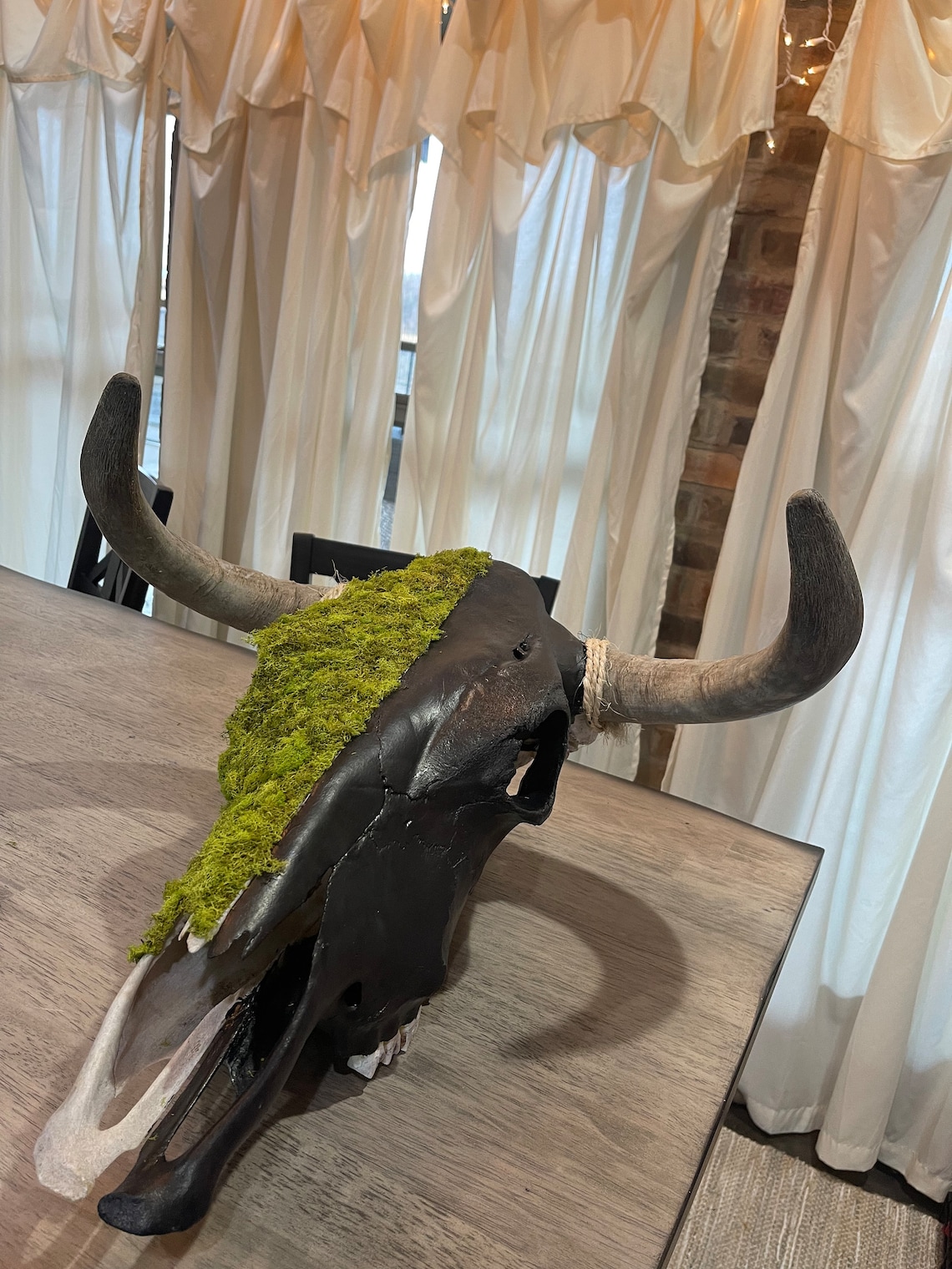 Moss Covered Cow Skull - Etsy