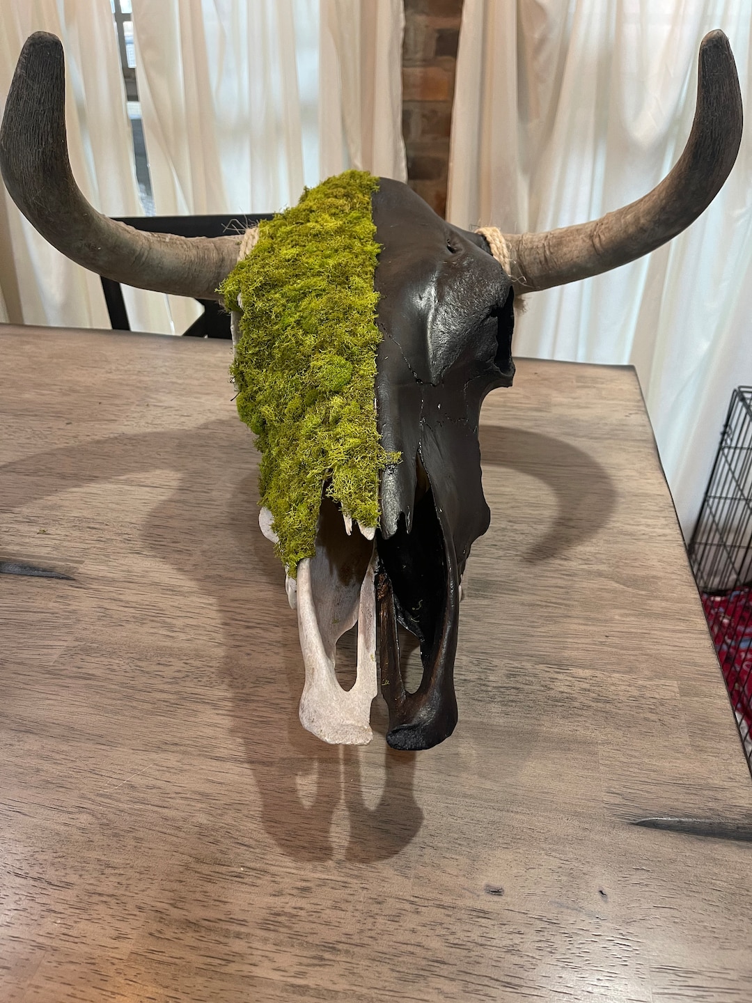 Moss Covered Cow Skull - Etsy