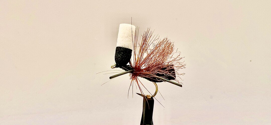 Egans Bionic Ant 2.0 - Etsy