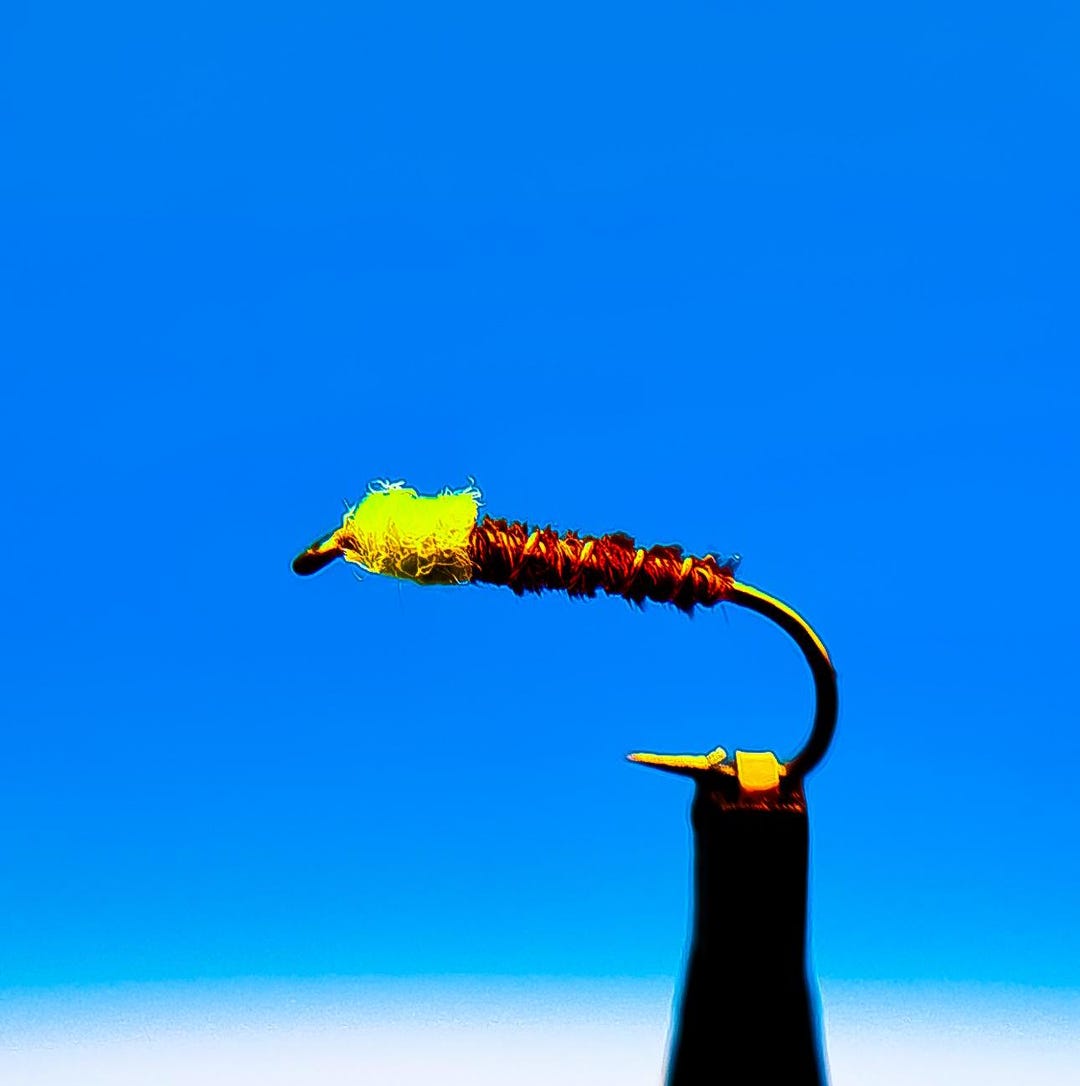 Cased Caddis - Etsy