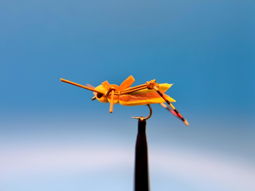 Olive/brown/yellow Morrish Hopper - Etsy