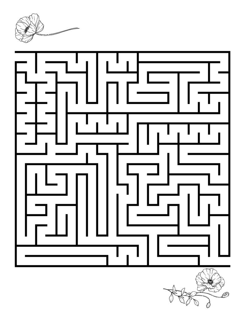 Wicked Mazes 22 Beautifully Crafted Mazes. Each Maze is Designed to ...