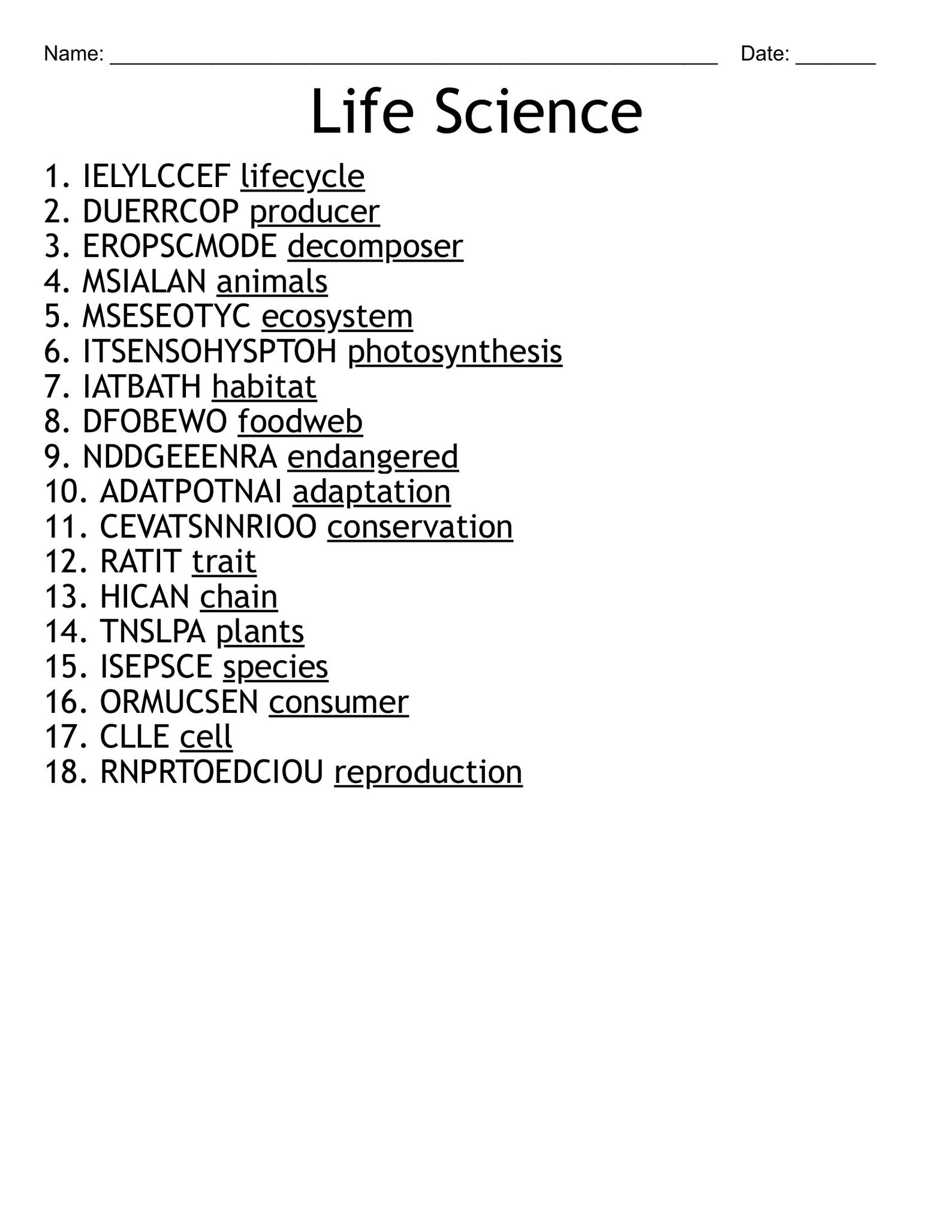 4th Grade Science Bundle Word Search, Scrambled Terms, Fun Review or ...