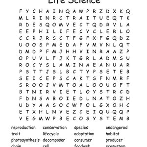 4th Grade Science Bundle Word Search, Scrambled Terms, Fun Review or ...