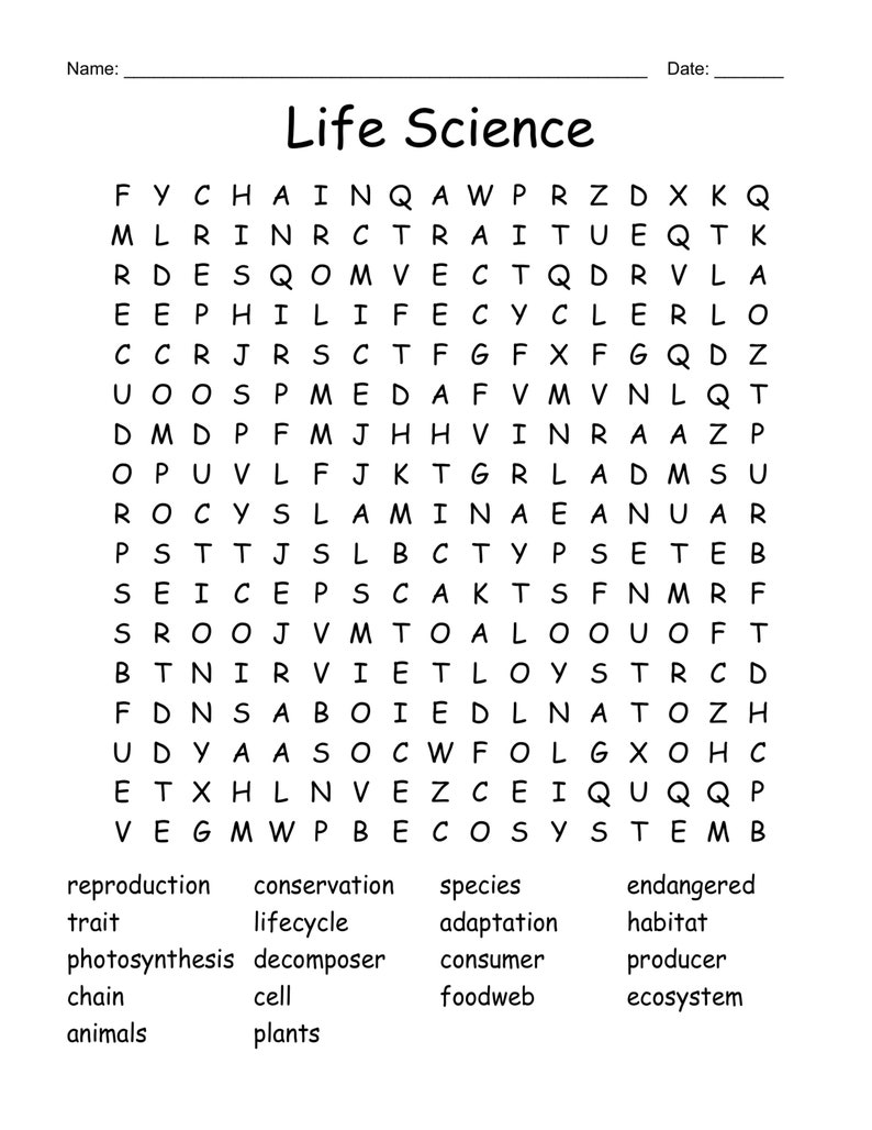 4th Grade Science Bundle Word Search, Scrambled Terms, Fun Review or ...