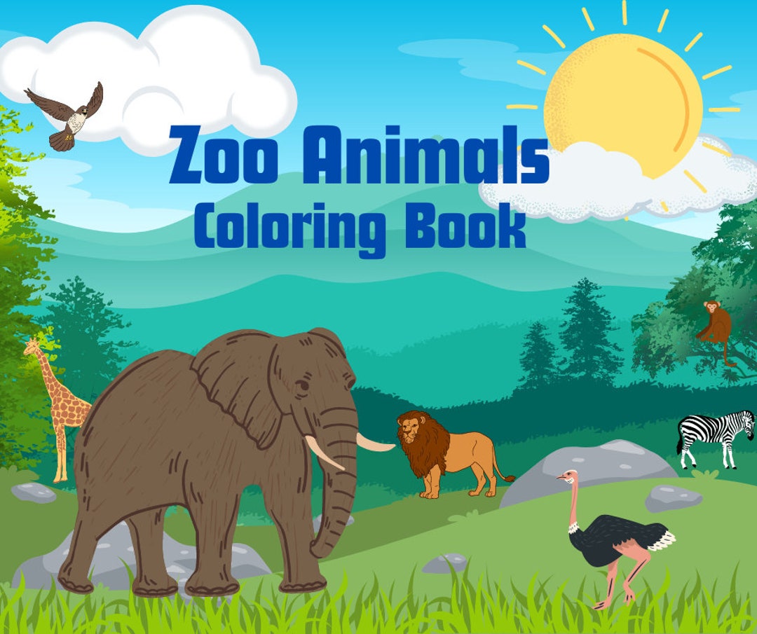 Zoo Animals Coloring Book: 12 Adorable Baby Animals Pages - Etsy