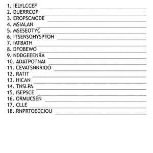 4th Grade Science Bundle Word Search, Scrambled Terms, Fun Review or ...