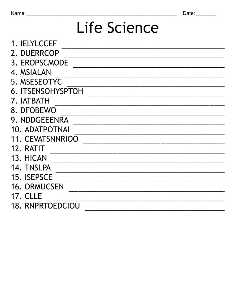 4th Grade Science Bundle Word Search, Scrambled Terms, Fun Review or ...