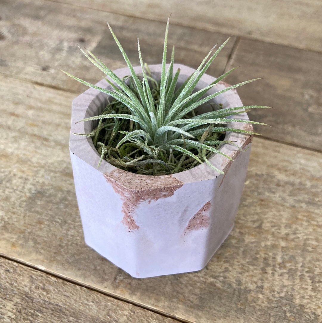 Octagon Planter, Geometric Planter, Handmade, Air Plant, Home Decor ...