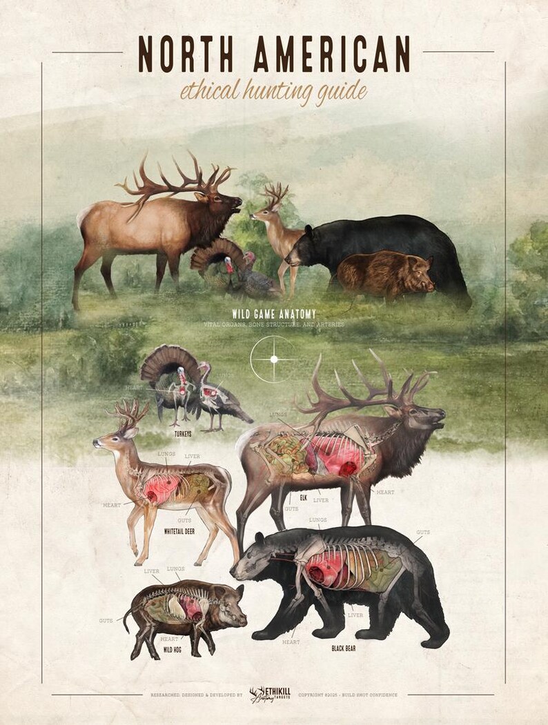 Ethical Hunting Guide Art Print: North American Animal Anatomy (18x24 ...