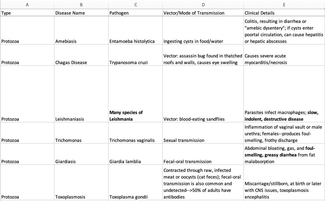 Detailed Parasitic Diseases Chart - Etsy